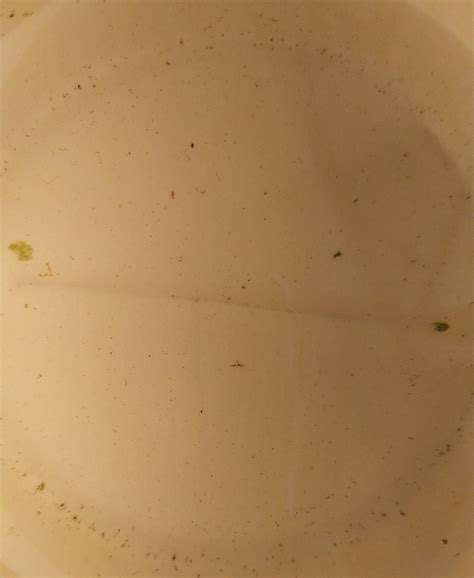 Discolored Water Computer Vision Dataset By Madusha