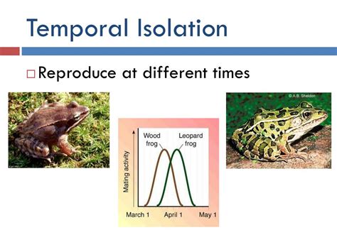 Ppt Species And Speciation Powerpoint Presentation Free Download