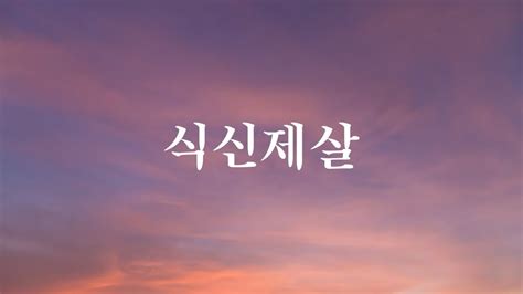 식신제살 YouTube