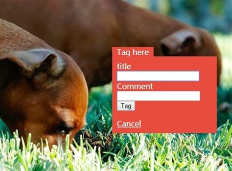 Jquery Plugin To Tag Photos Divs Image Tag Free Jquery Plugins