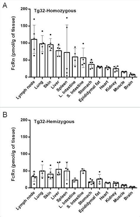 Human Fcrn Tissue Expression Profile In A Tg32 Homozygous And B