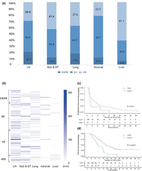 Response Patterns Of Acral Melanoma Treated With Anti Programmed Download Scientific Diagram