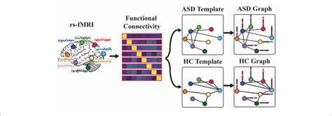 Functional Graph Construction 1 Estimate Functional Connectivity Download Scientific