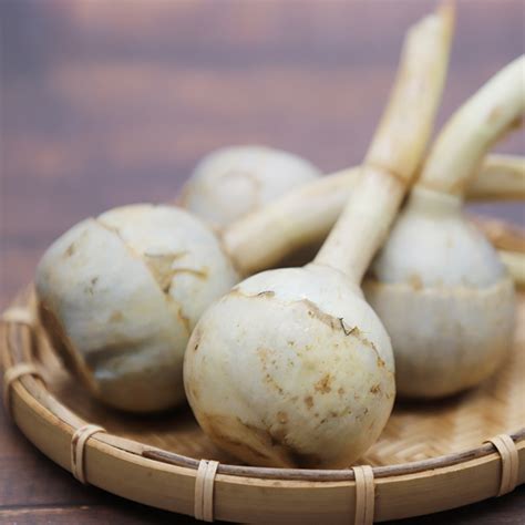 马蹄包蘑菇 麻辣烫 小白 大山谷图库