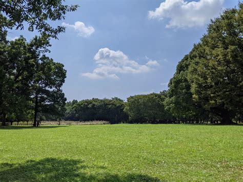 Intel Fortran Compiler Intel Oneapi Hpc Toolkitのubuntu 2204 Wslへのインストール 彗星