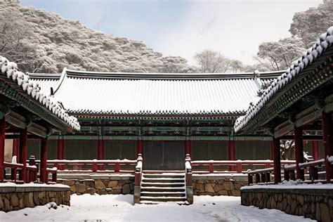 검은 덮개 배경 일러스트 검은 덮개 사진 및 배경 화면 무료 다운로드 Pngtree