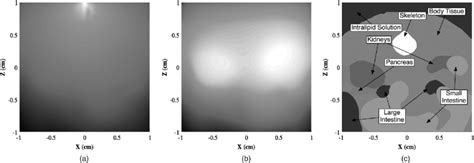 The Logarithm Of The Fluence Rate Modulated Amplitude For The