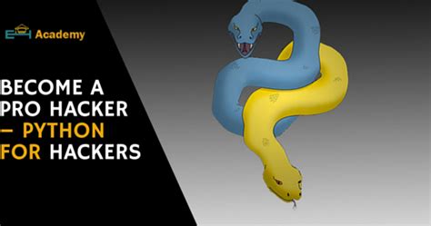 Become A Pro Hacker Python For Hackers The World Of It And Cyber Security