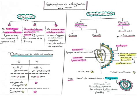 Solution Structure Et Classification Des Virus Studypool