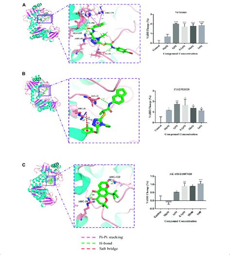 The Intermolecular Interaction Of The Predicted Binding Modes Of A Download Scientific