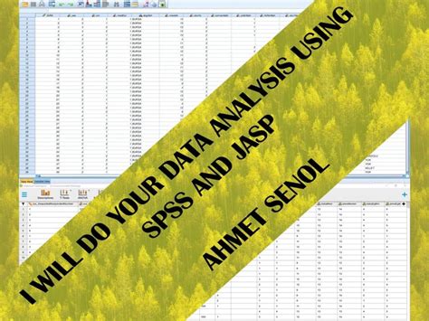 Your Data Analyzed Using Jasp Or Spss Upwork