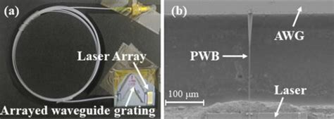a hybrid integrated multi wavelength dfb laser array by photonic wire