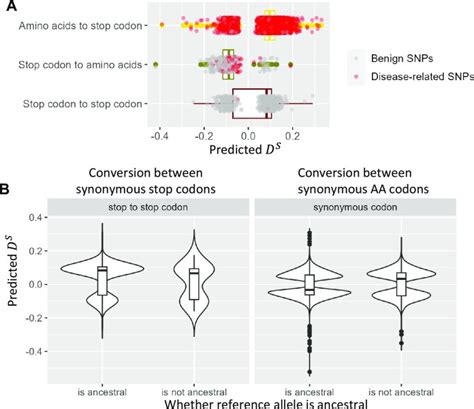 Predicting Functional Consequences Of Snps On Mrna Translation Via Machine Learning Pmc