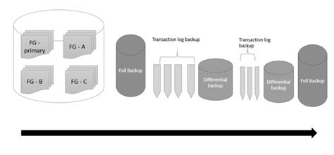 The Partial Sql Server Database Backup