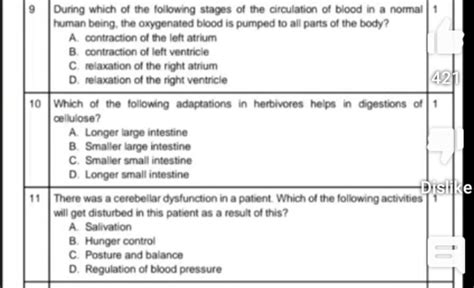 9 Begin{tabular}{l}during Which Of The Following Stages Of The Circulati