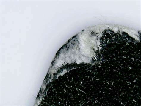 How To Test Mtg Cards Detect Proxy And Fake Magic The Gathering Cards