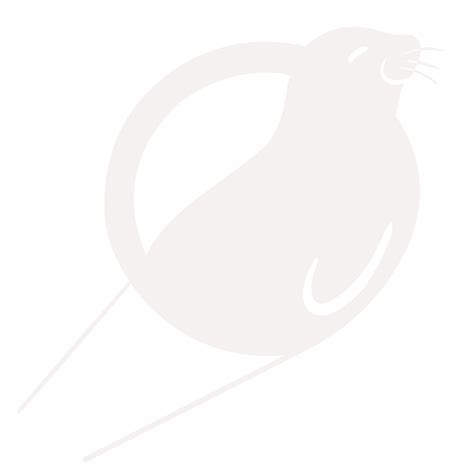 Pinniped Species The Seal Signal