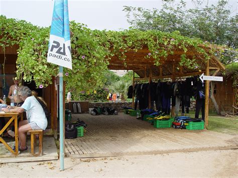 Ras Nasrani Ras Gamila 2003 Und 2004