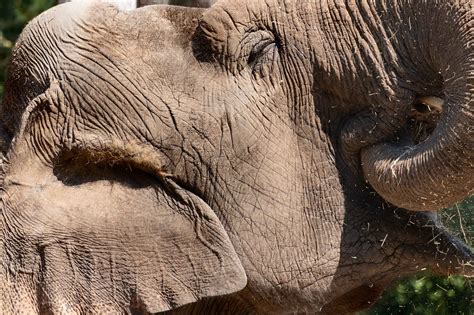 Bigquery Udfs Complete Guide Everything You Need To Know About By