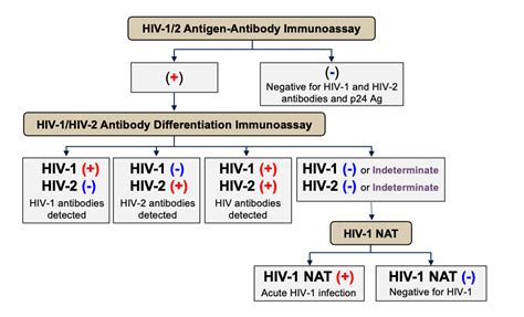 Question 1 Hiv Diagnostic Testing Question Bank National Hiv Curriculum