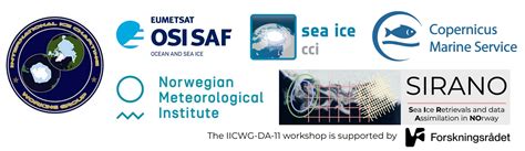 11th Iicwg Data Assimilation Workshop Cmems
