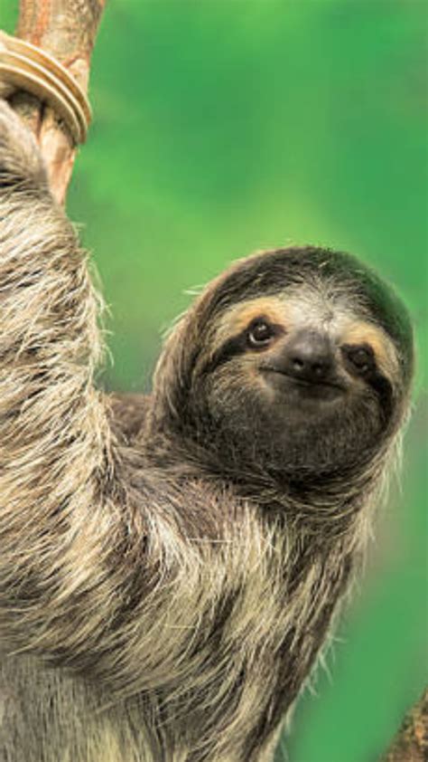 Can You Have Sex If You Have The Flu