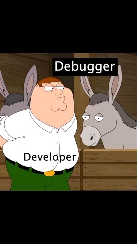 Coding Memes Want To Learn How To Code With Real Mentors Online