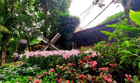 สิ้นเดือนนี้เตรียมวางแผนเที่ยวเดือนตุลาคม มาชมดอกลิลลี่บานสะพรั่ง กับช่วงวันหยุดสุดพิเศษ ที่รอ