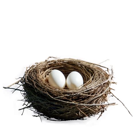 Download Empty Bird Nest Png 05252024