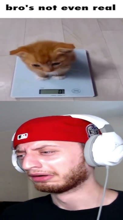Bros Not Even Real Youtube