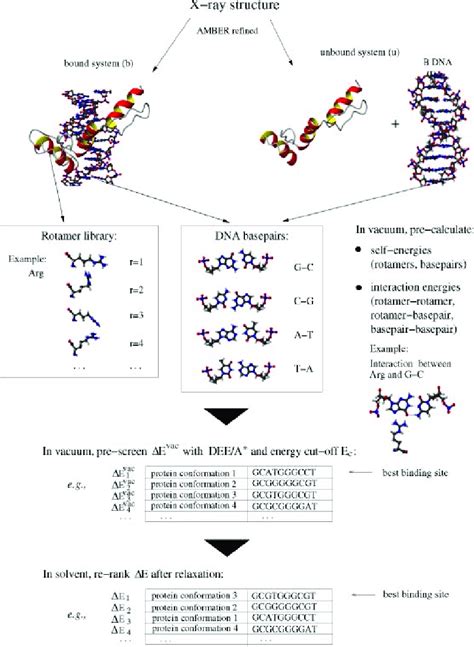 1 Overview Of Atomistic Method To Identify Dna Binding Sites As An Download Scientific