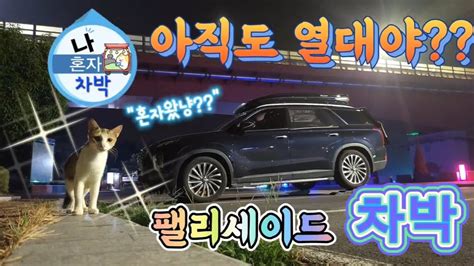 9월날씨이게 맞나요 열대야 스텔스 차박 팰리세이드차박 스텔스차박 차박 여름차박 미니멀차박 캠핑 슬램덩크 Ep800 Youtube