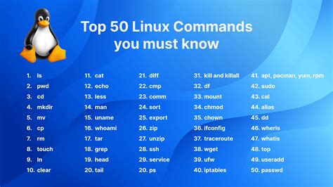 Top 50 Linux Commands You Must Know Digitalocean