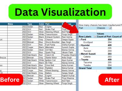 Excel Data Analysist And Cleaning With Visualization Upwork