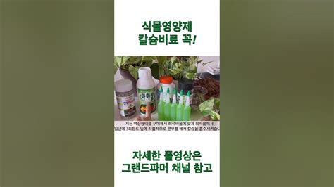 식물영양제 칼슘비료 중요해요 Youtube