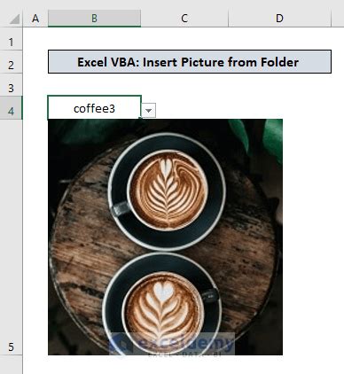 Excel VBA Inserting A Picture From The Folder 3 Methods ExcelDemy
