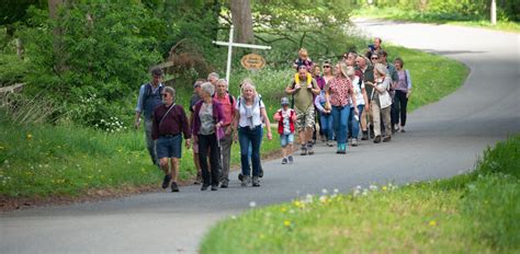 Exploring South Ormsby Estate Join Our Autumn Walks Programme South Ormsby Estate