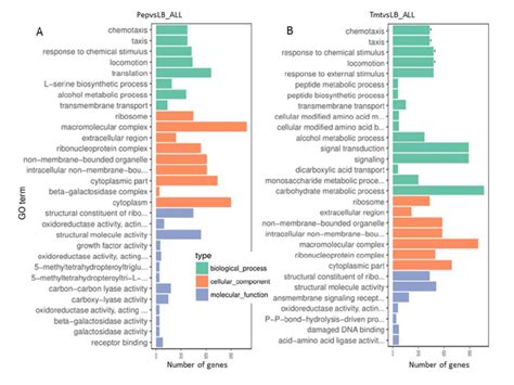 Comparing Functional Annotations Between Different Samples A Download Scientific Diagram