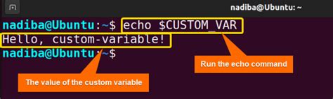 The “ Bashrc” Environment Variables [4 Cases]