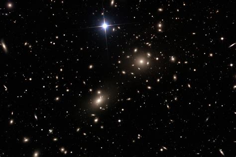 Dominant Types Of Galaxies In Coma Cluster
