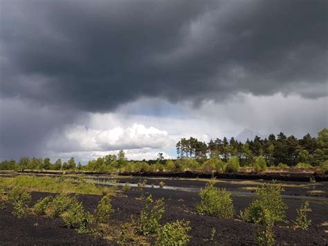 Future Carbon Storage In Restored Ecosystems Climate Co Centre
