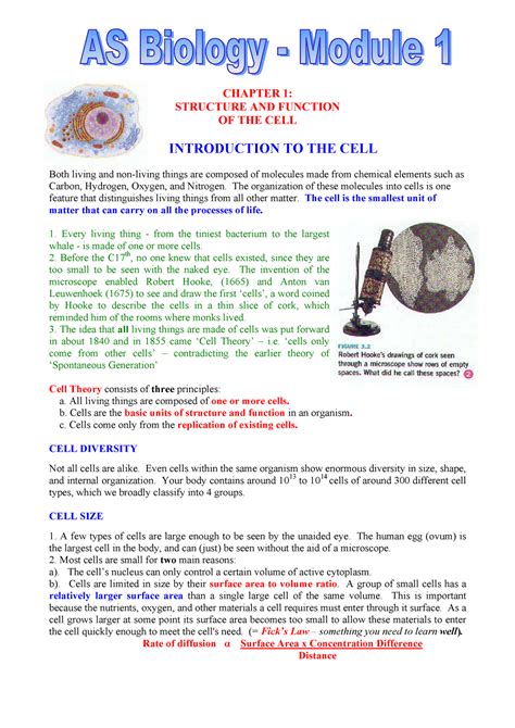 Ch Cells Summary CHAPTER STRUCTURE AND FUNCTION OF THE CELL INTRODUCTION TO THE CELL