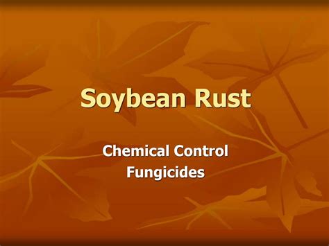 Ppt Soybean Rust Powerpoint Presentation Free Download Id1124990
