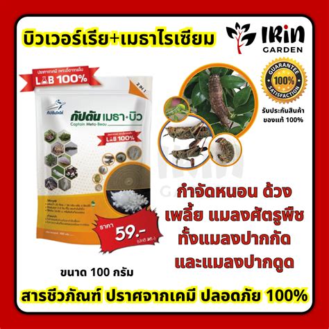 กำจัดด้วง ด้วงมะพร้าว ปลวก เพลี้ย เมธาไรเซียม ชนิดผงพร้อมใช้ ขนาด 100 500 กรัม Kankaset27