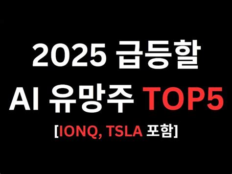 2025 미국주식 Ai 유망주 Top5 추천