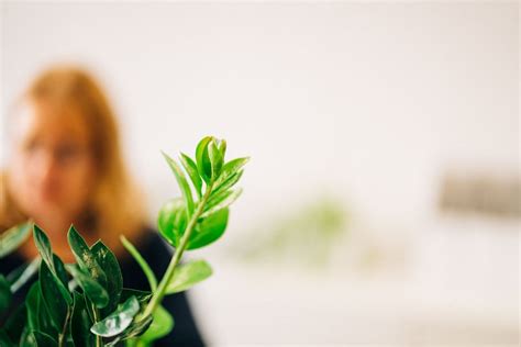 Grasshopper Communications Linkedin