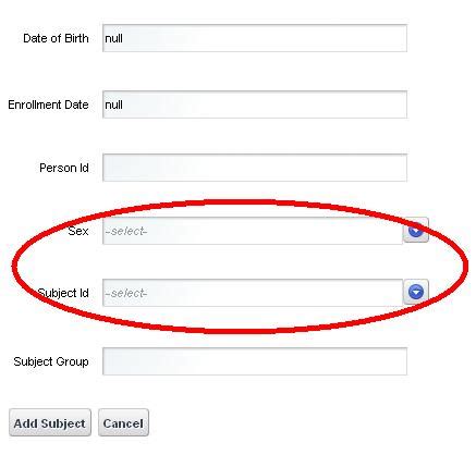 SetInputPromp For ComboBox In Vaadin Form Vaadin Forum
