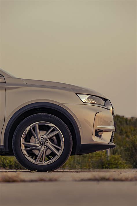 Backtracking Ds Photos Download The Best Free Backtracking Ds Stock