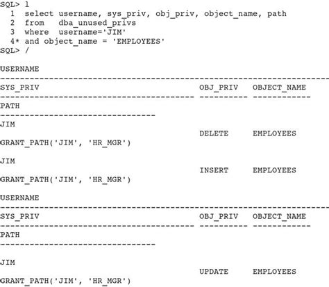 Determining Least Privilege Access Using Privilege Analysis