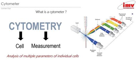 Why Use A Flow Cytometer IMV Technology US